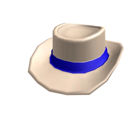 Blue Hat for Haiti | Roblox Wiki | Fandom