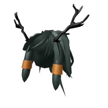 Lex, the Elf Warrior's Hair | Roblox Wiki | Fandom