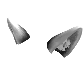 Wolf Ears | Wiki Roblox | Fandom