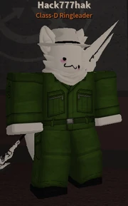 Class-D | Roblox Area 47 Wiki | Fandom