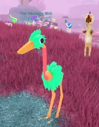 Rares | Roblox BIRD Wiki | Fandom