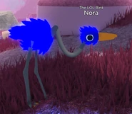 Nora | Roblox BIRD Wiki | Fandom
