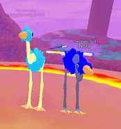 Nora | Roblox BIRD Wiki | Fandom