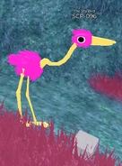 SCP Bird | Roblox BIRD Wiki | Fandom