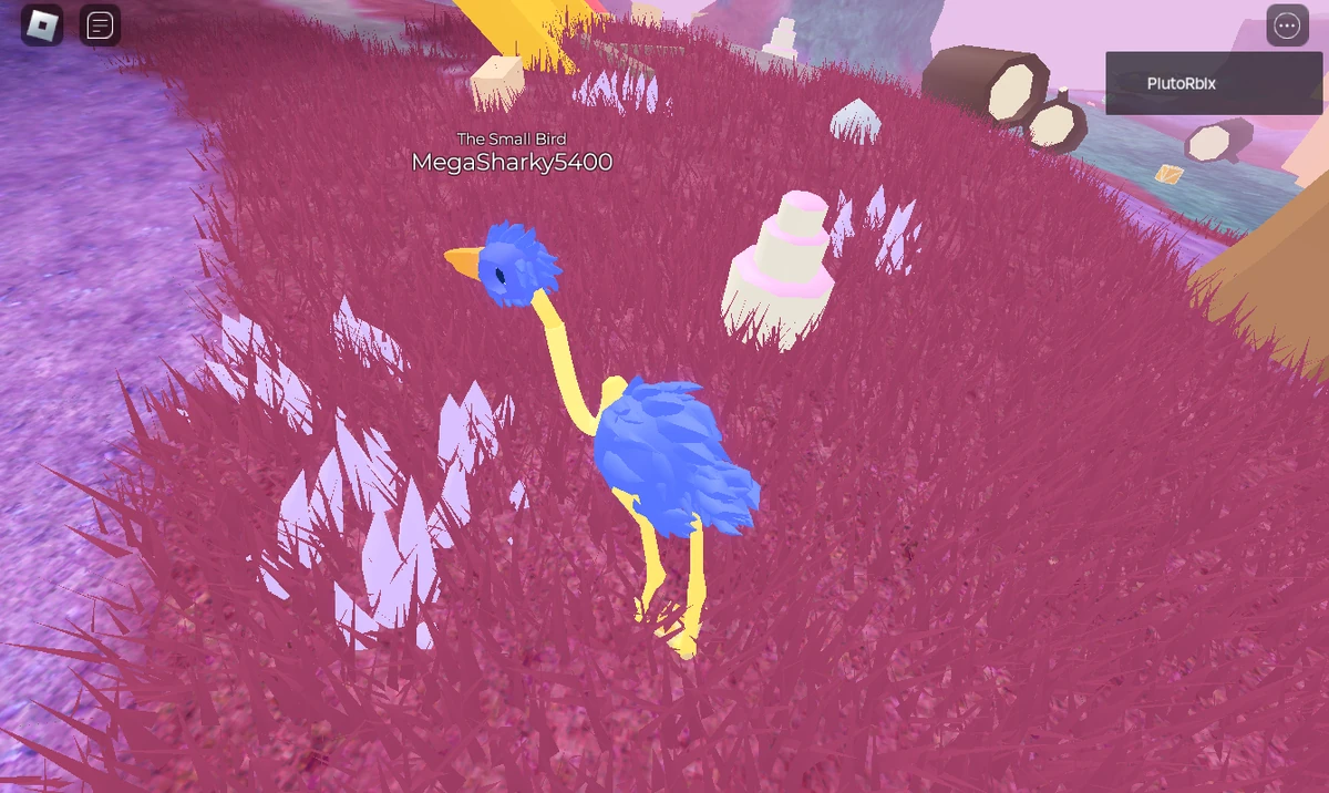 Bird Customizer (Customiz) | Roblox BIRD Wiki | Fandom