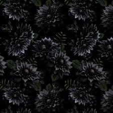 🥀 Ronnie kozlova | Robloxiapedia | Fandom