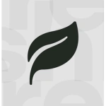 Freshly | Robloxiapedia | Fandom