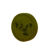 Arcade Token | Clucky's Wiki | Fandom