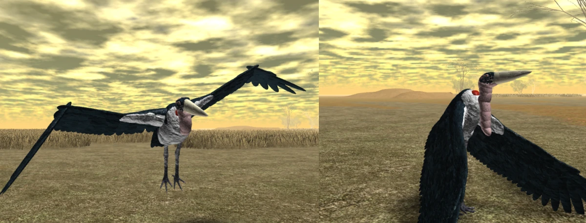 Marabou Stork | RobloxGamesMoon Wiki | Fandom