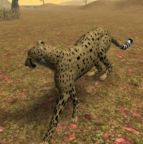 Cheetah | RobloxGamesMoon Wiki | Fandom