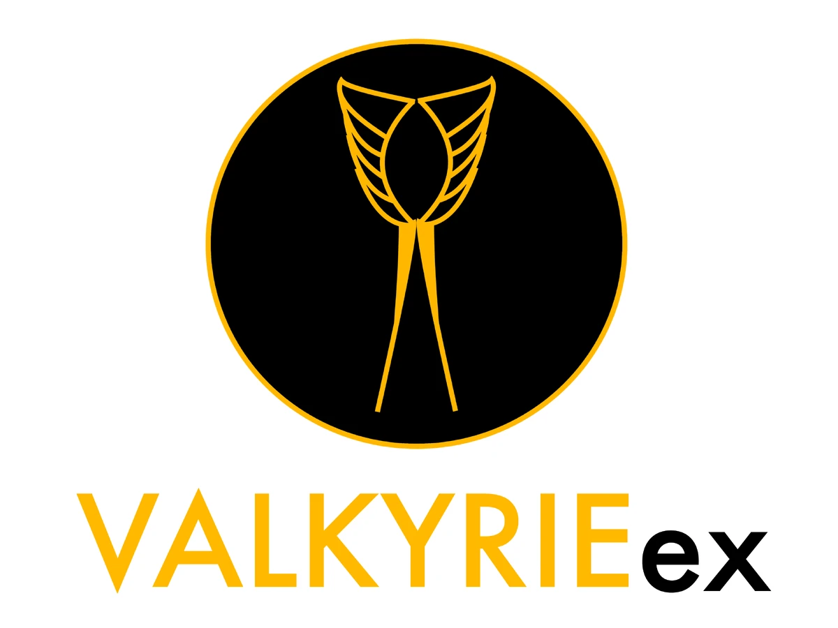Valkyrie Ex | ROBLOXian Aviation Wiki | Fandom