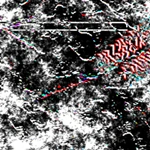 Vigilate in virtute | Myth Community Wiki | Fandom