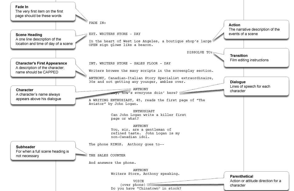 User blog:Stopmotion101 STUDIOS/A Guide To All Directors | ROBLOX Film ...