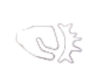 Fists | Roblox Rivals Wiki | Fandom