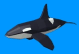 Whale | ROBLOX's Deep Ocean Wiki | Fandom