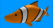 Clownfish | ROBLOX's Deep Ocean Wiki | Fandom