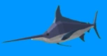 Marlin | ROBLOX's Deep Ocean Wiki | Fandom