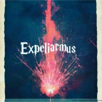 Expelliarmus | Wizard Life Wiki | Fandom