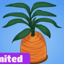 Carrot | BlockStarPlanet Wiki | Fandom