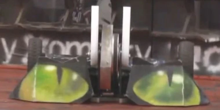 catKong | Robogames Wikia | Fandom