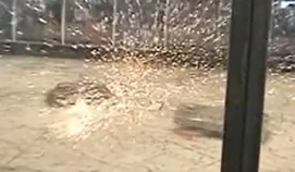 Buster | Robogames Wikia | Fandom