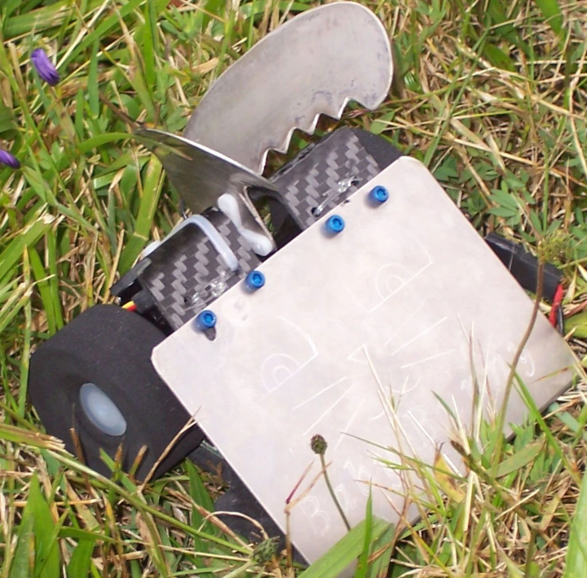 Baby Bunny | Robogames Wikia | Fandom