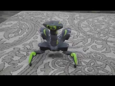 I have fun with my roboquads | Roboquad Wiki | Fandom