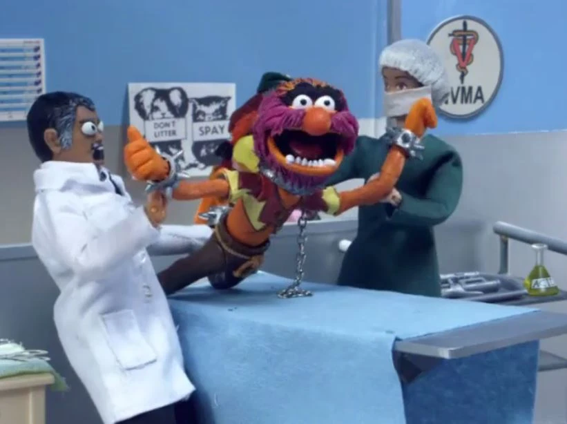 Animal | Robot Chicken Wiki | Fandom