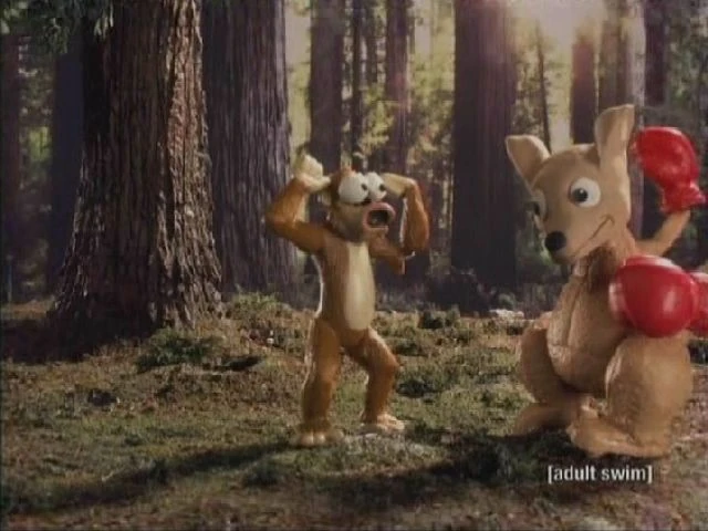 Ape vs. Kangaroo | Robot Chicken Wiki | Fandom