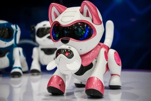 Kitty the Tekno Kitten | Robot Wiki | Fandom