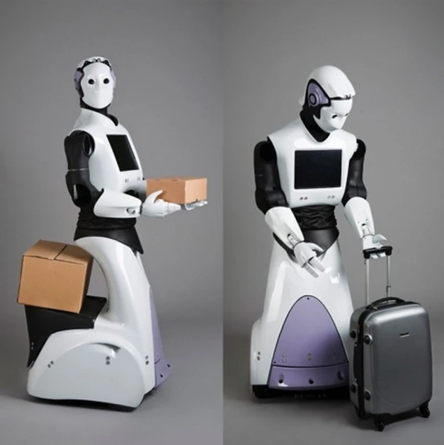 Reem | Робототехника вики | Fandom