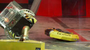 Sabretooth | Robot Wars Wiki | Fandom