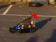 Velocirippa | Robot Wars Wiki | Fandom