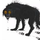 Cadejo | Rob Thurman Wiki | Fandom