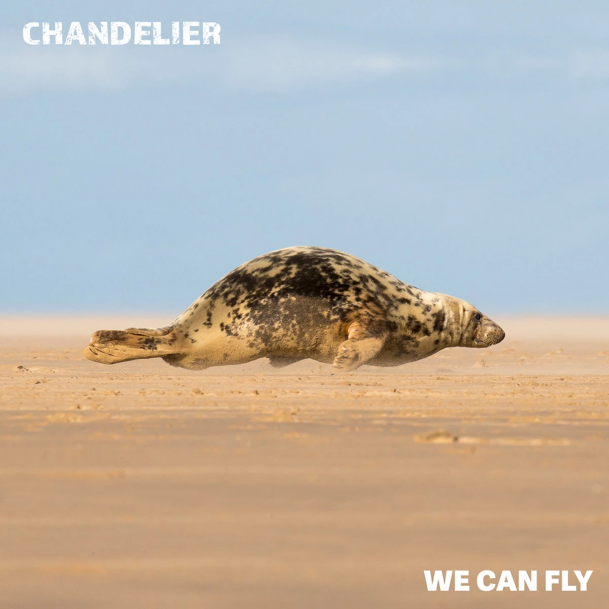 CHANDELIER - We Can Fly | ROCK CASTLE Wiki | Fandom