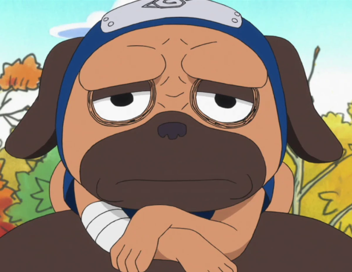 Pakkun | Wikia Rock Lee : Les Péripéties d'un Ninja en Herbe | Fandom