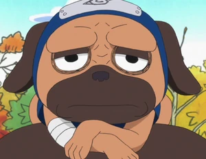 Pakkun | Wikia Rock Lee : Les Péripéties d'un Ninja en Herbe | Fandom