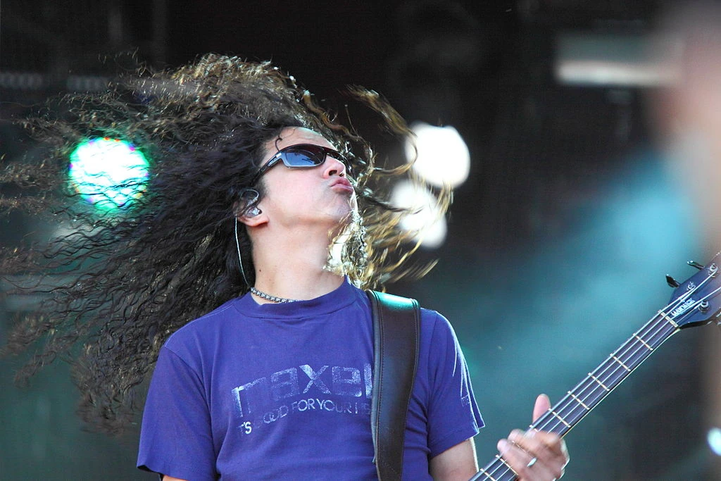 Mike Inez | Rock & Metal wiki | Fandom