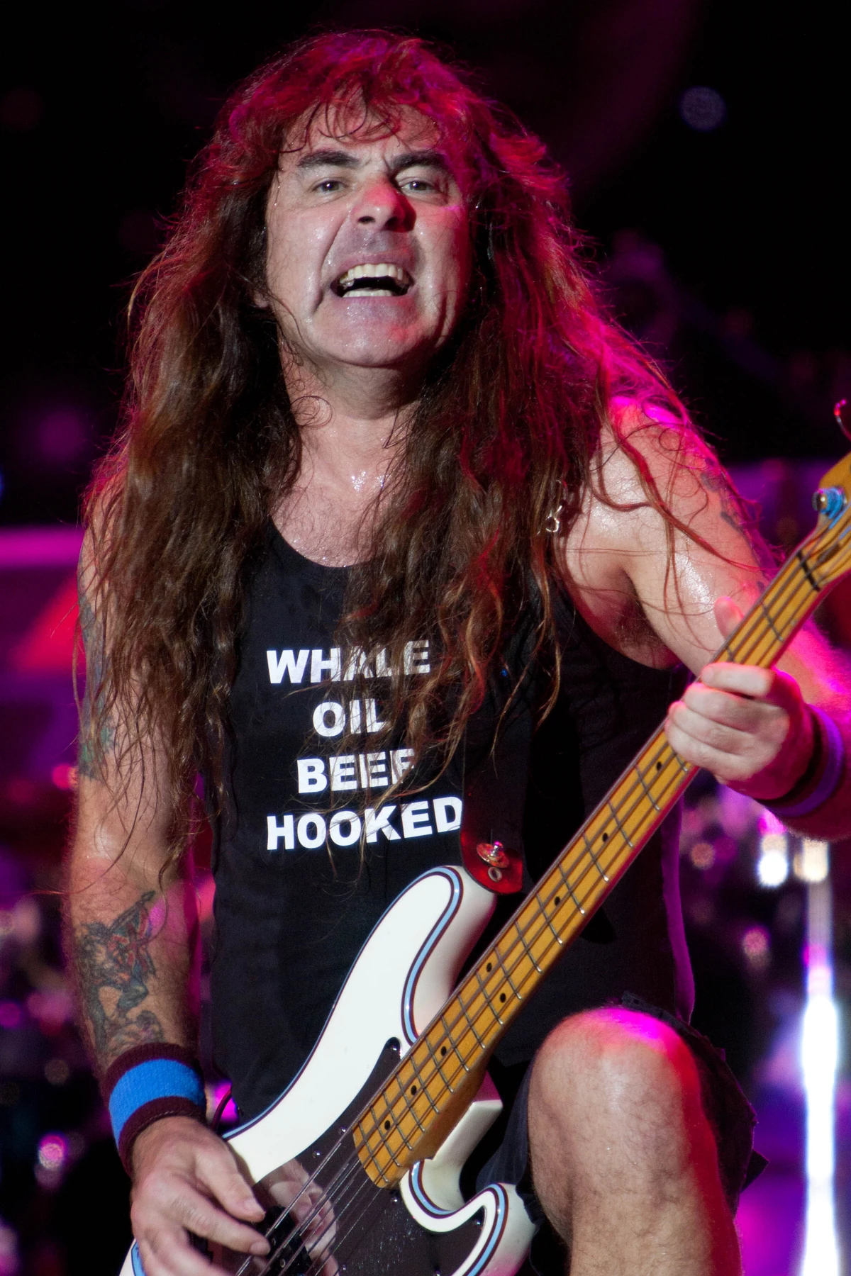 Steve Harris | Rock & Metal wiki | Fandom
