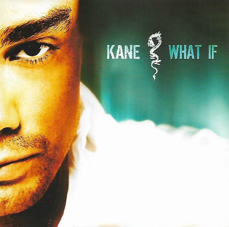 What if (album) | Rock & Metal wiki | Fandom