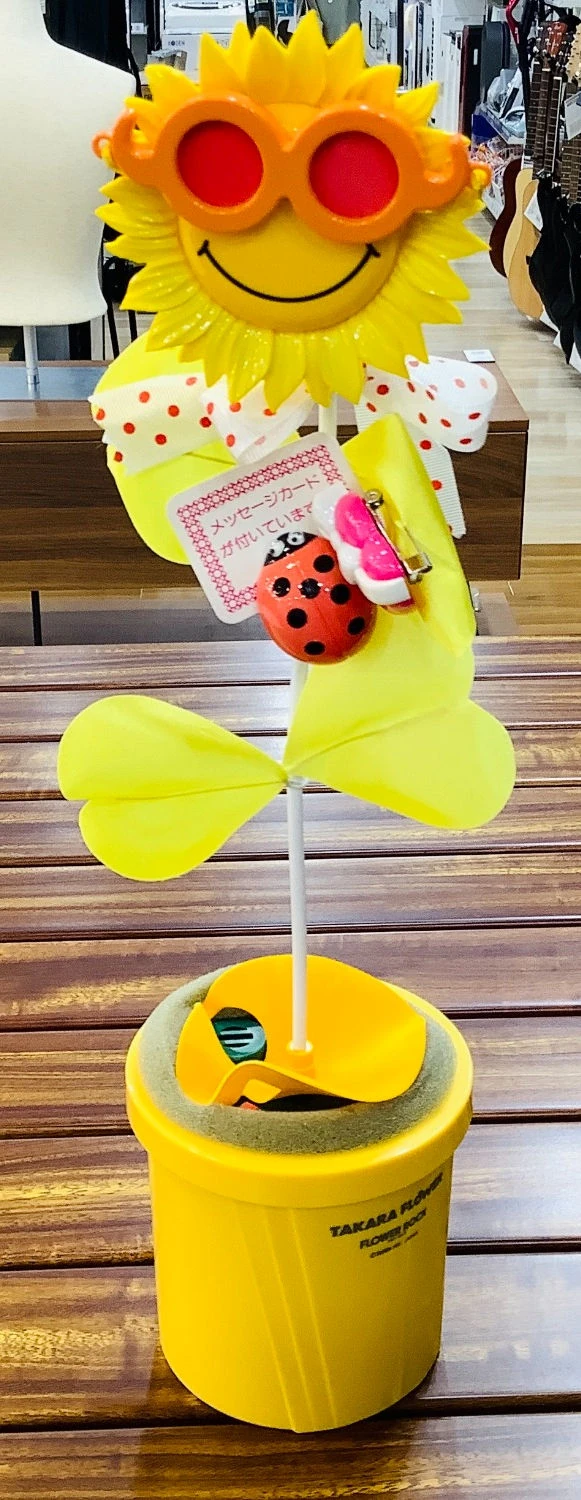 Lady Bird Sunflower - Flower Rock | Flower Rock Wiki | Fandom