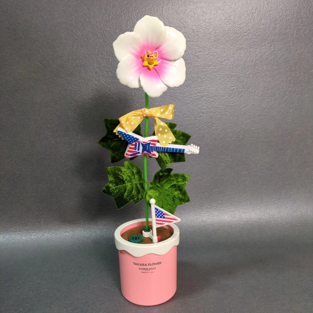 USA - Flower Rock | Flower Rock Wiki | Fandom