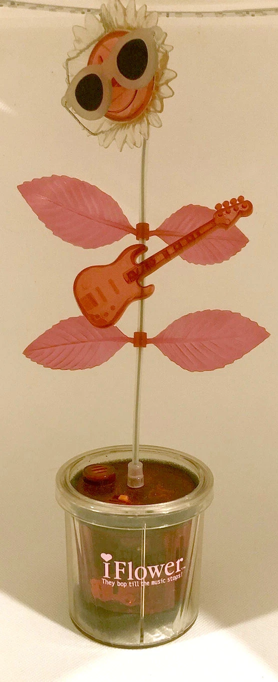 Pink Sunflower - iFlower | Flower Rock Wiki | Fandom