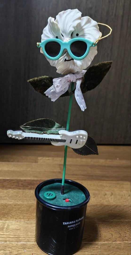 White Hibiscus - Flower Rock | Flower Rock Wiki | Fandom