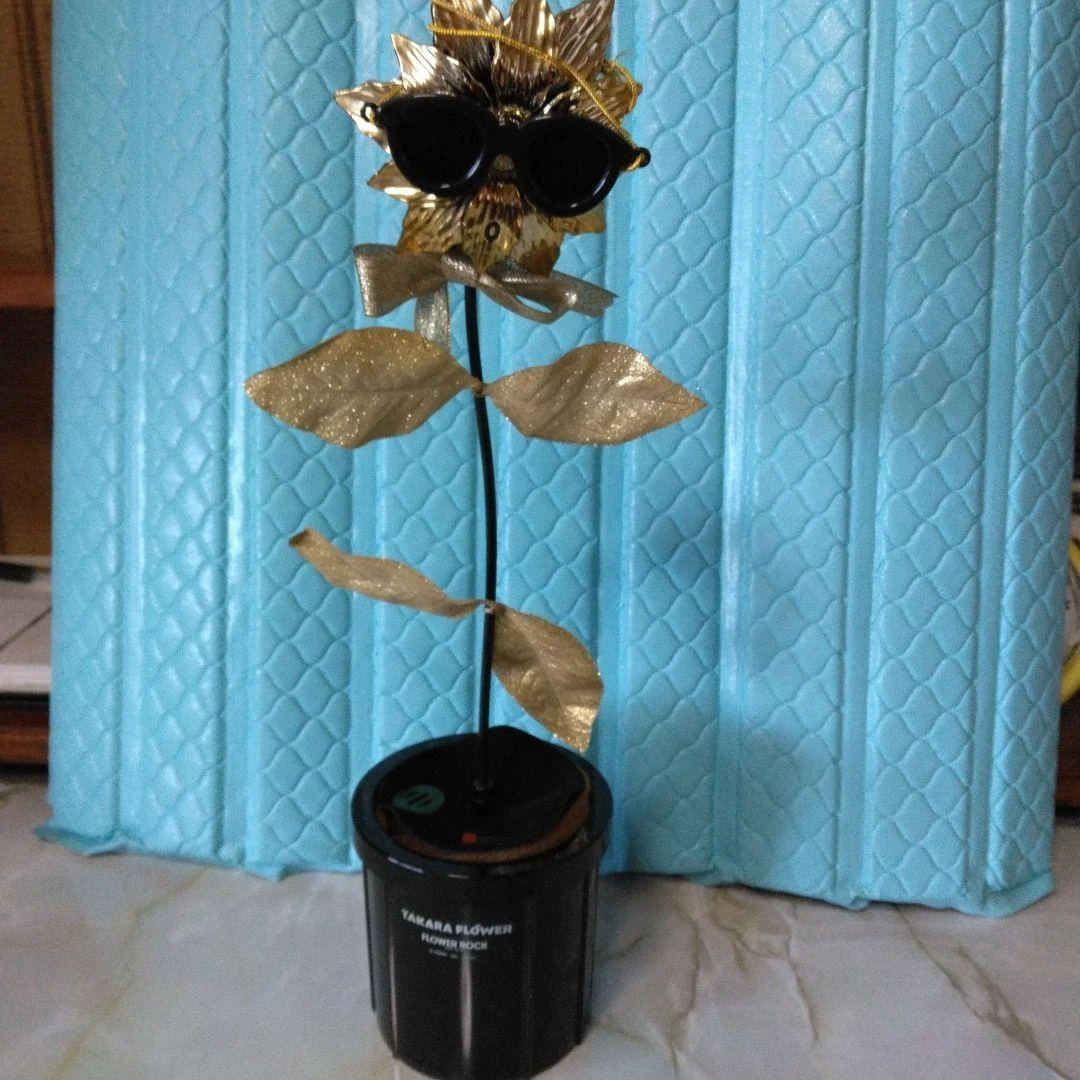 Silver Poinsettia - Flower Rock | Flower Rock Wiki | Fandom