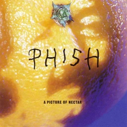 Category:Songs in album A Picture of Nectar by Phish | Rock Band Wiki ...