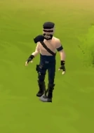 Dummy Decoy | Rocket Royale Wiki | Fandom