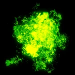 Xbox Gold Pack | Rocket League Wiki | Fandom