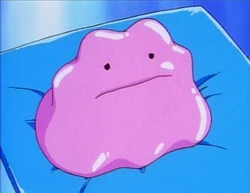 Ditto | RocketRP Wiki | Fandom