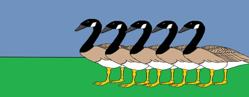 See You Later, Geese | Rockin Rocket Wiki | Fandom